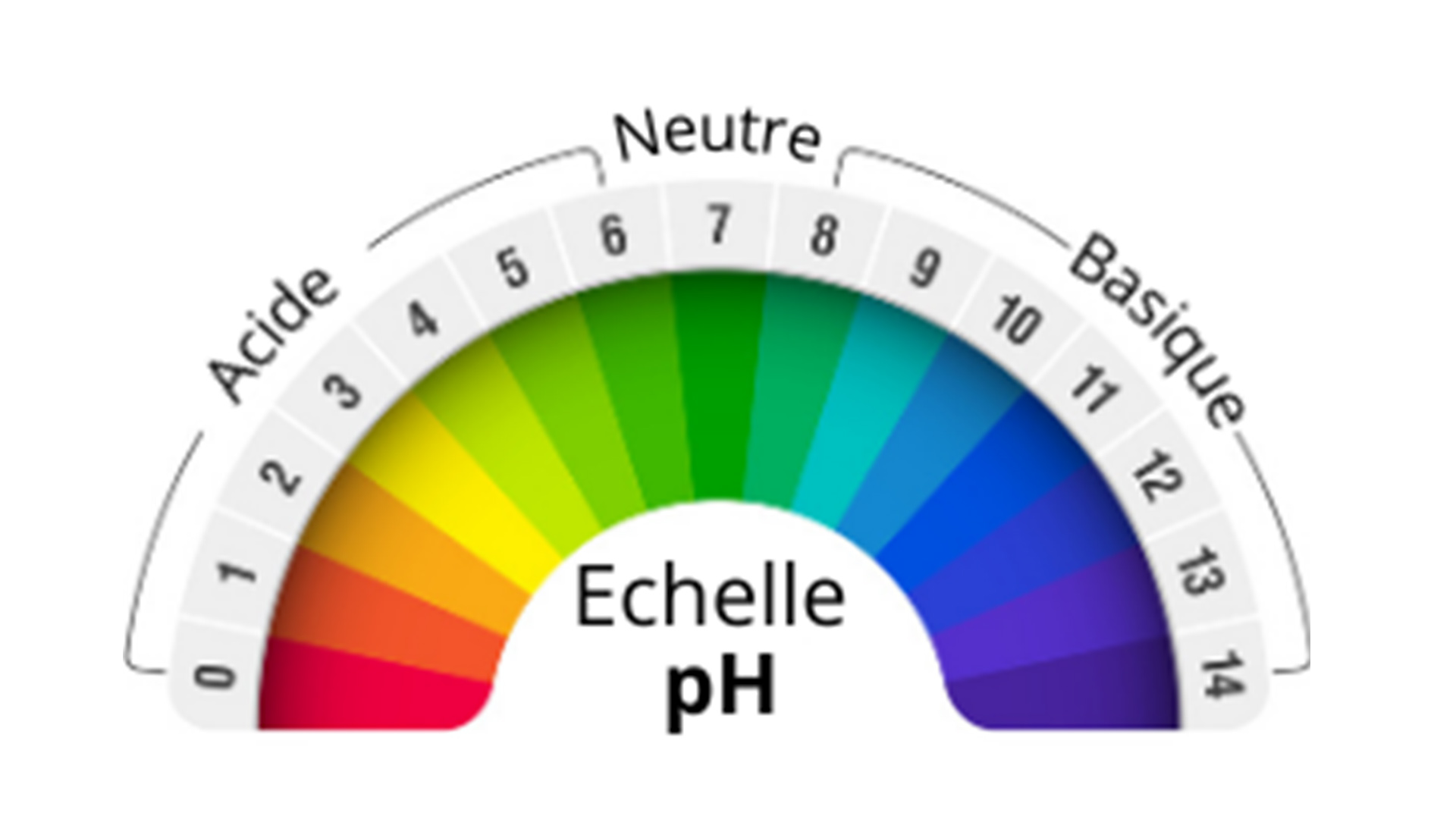 Le rééquilibrage alimentaire favorise les aliments alcalins