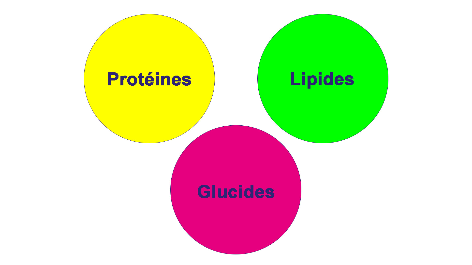 Macronutriments pourquoi sont-ils essentiels pour la santé